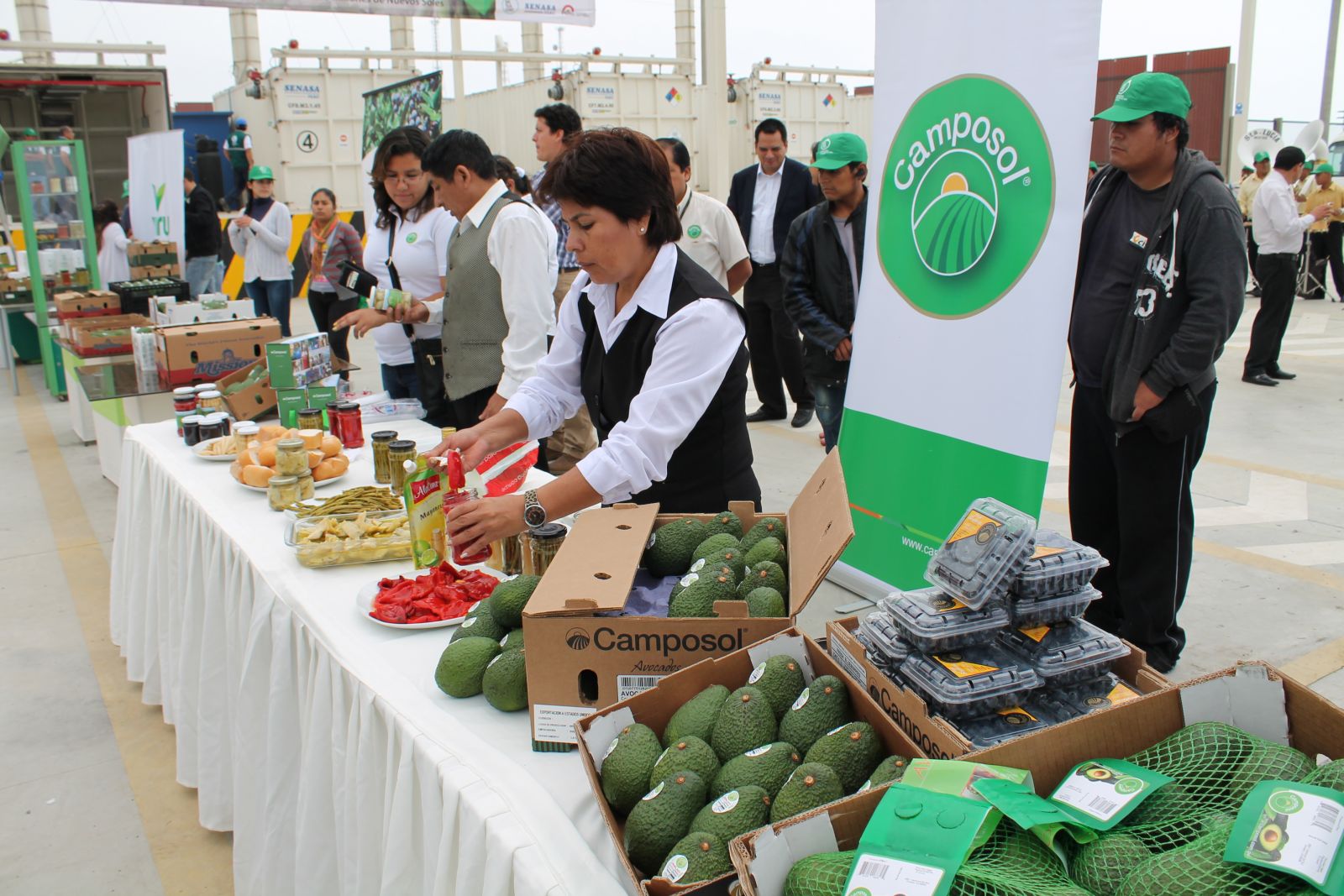 Camposol – AgroNegociosPerú